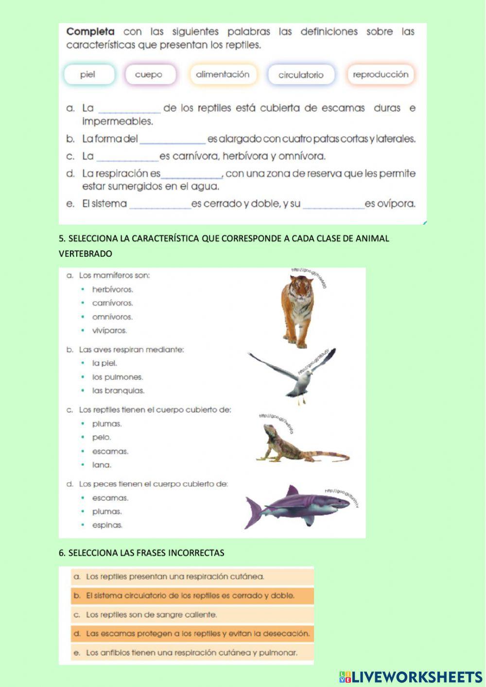 Vertebrados | Free Interactive Worksheets | 1630617