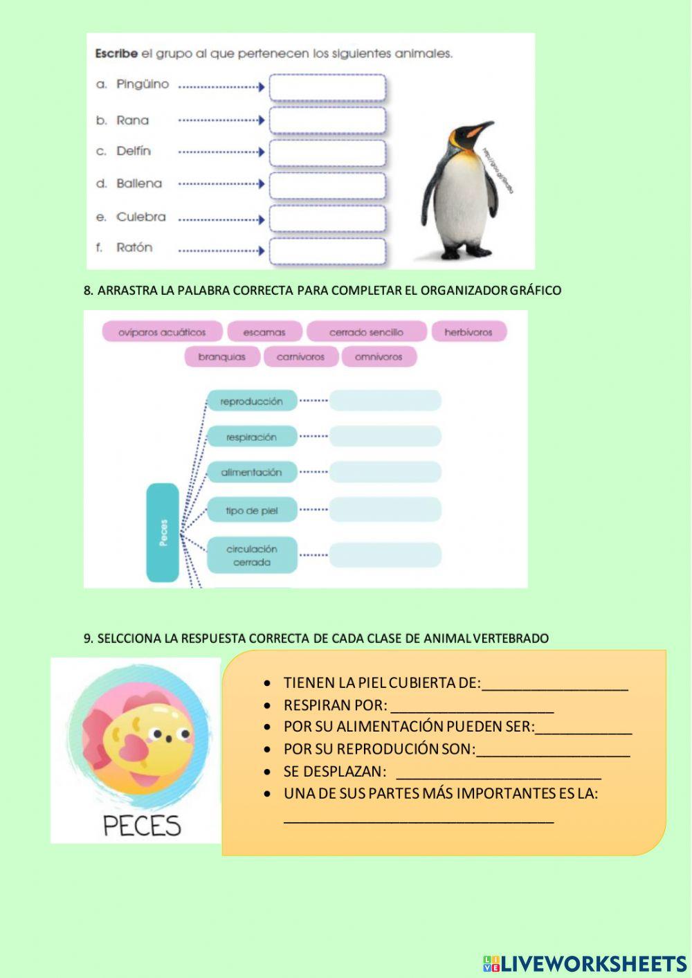Vertebrados | Free Interactive Worksheets | 1630617