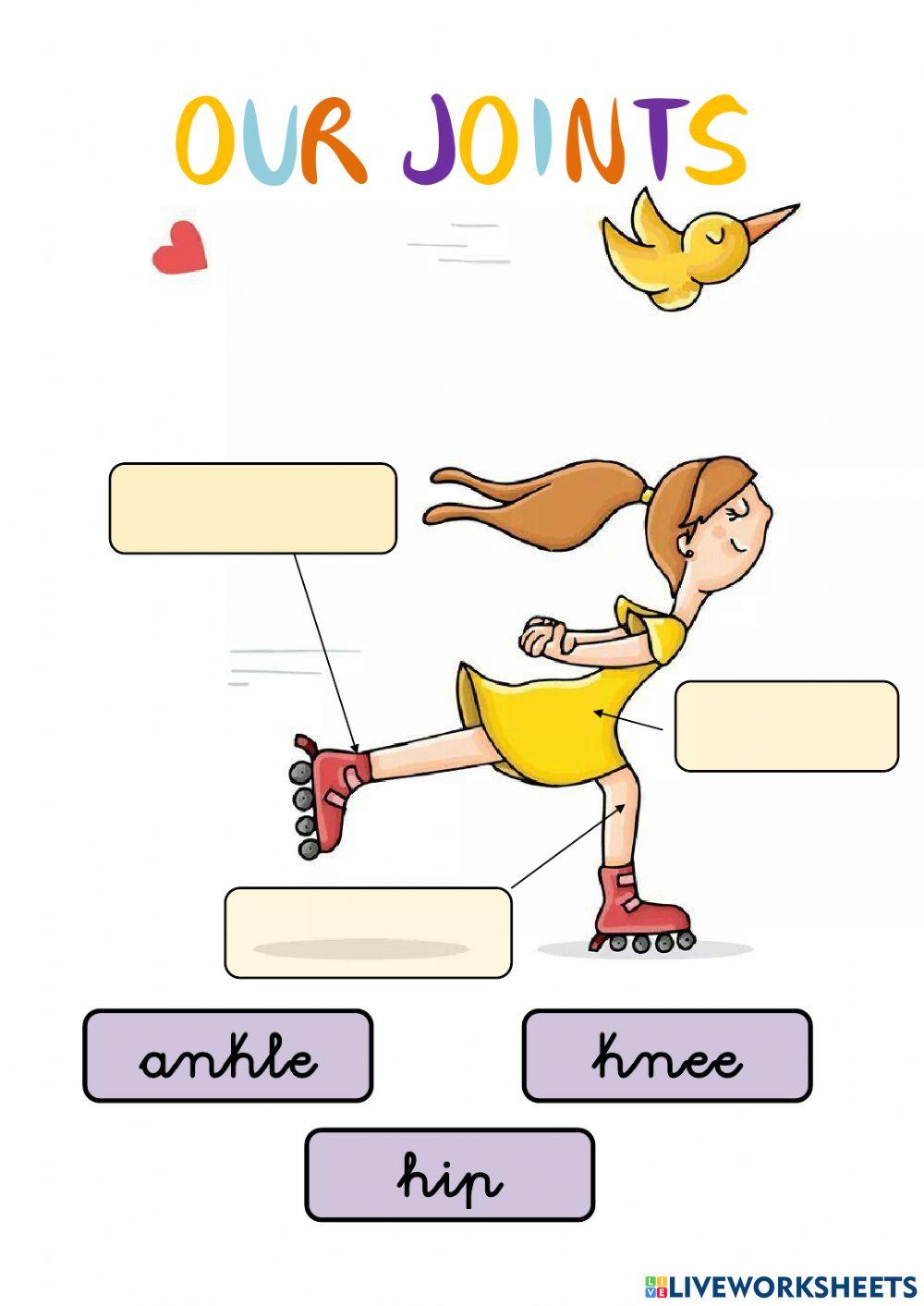 JOINTS online exercise for | Live Worksheets