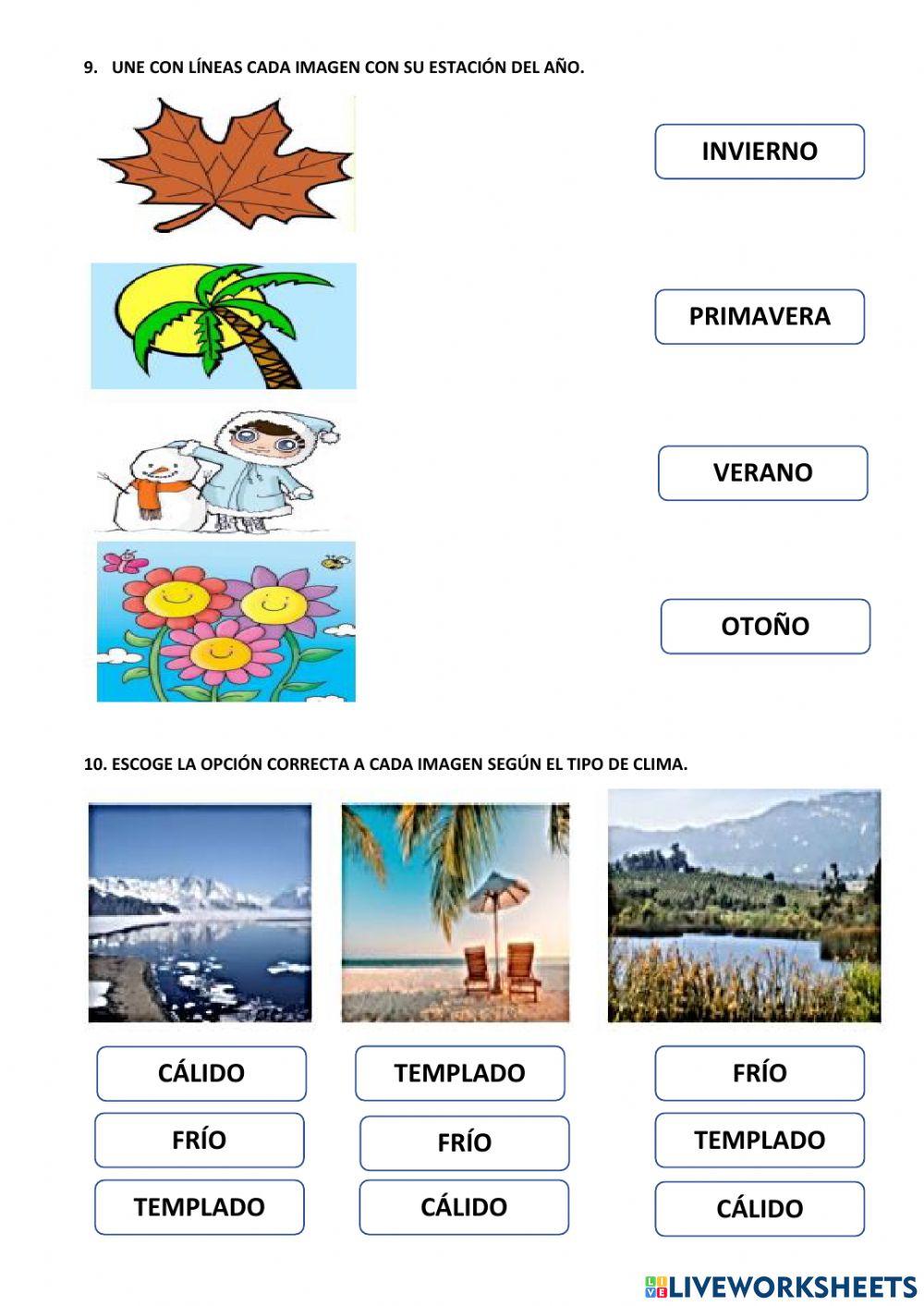Lección ccnn | Free Interactive Worksheets | 1633417