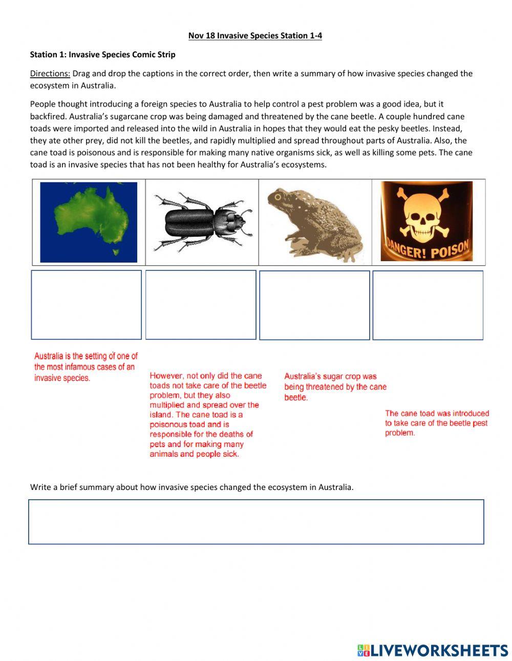Nov 18 Invasive Species Station 1-5 worksheet | Live Worksheets