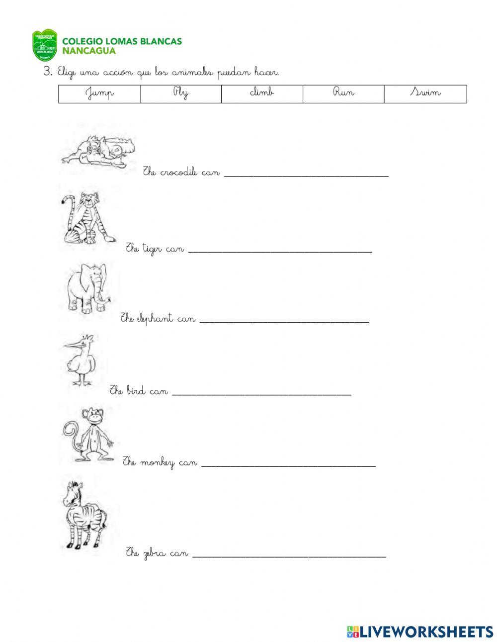 2nd GRADE - UNIT 4 - ANIMALS 6773348 | MissArantxa | Live