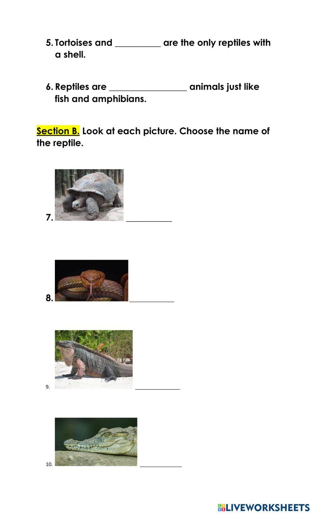 List Of Reptiles For Kids