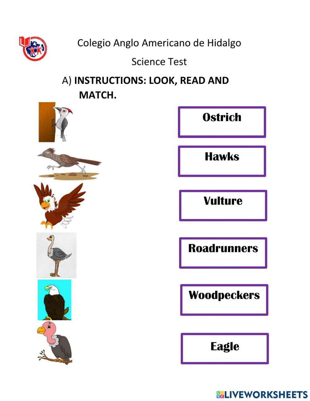 Science test November online exercise for | Live Worksheets