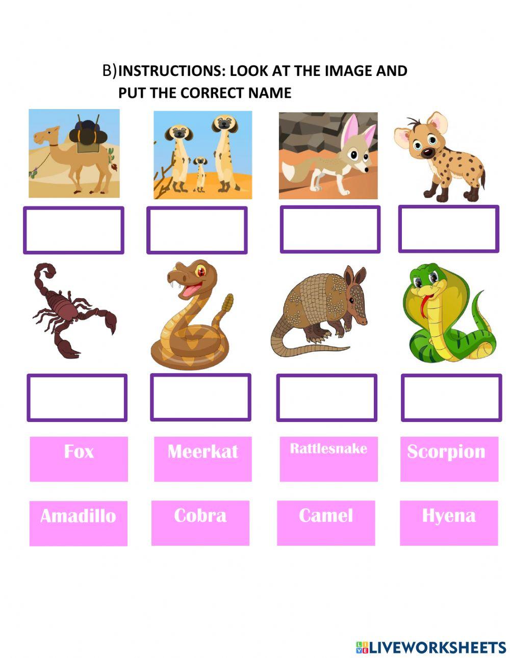 Science test November online exercise for | Live Worksheets