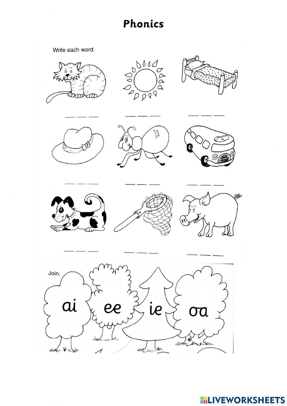 Phonics 1 online exercise for | Live Worksheets