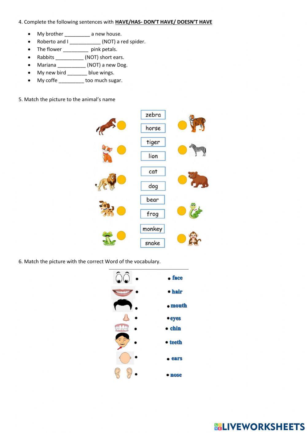 Prepa comitan-exam second partial 1rst semester worksheet | Live Worksheets