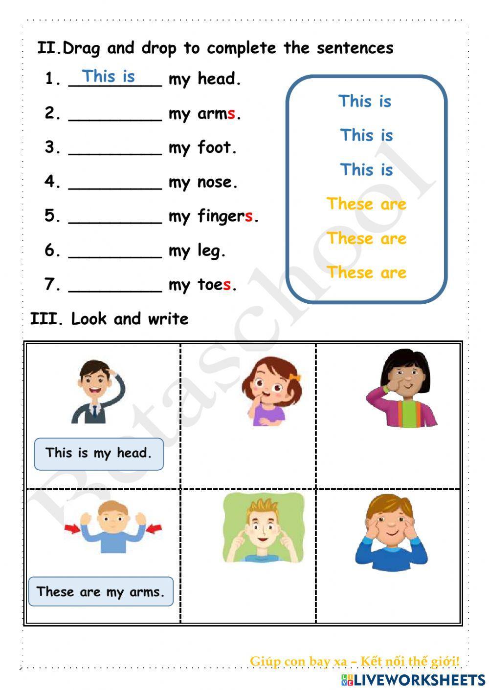 1639036 | 1A - Body parts This is-These are - TOPIC 1