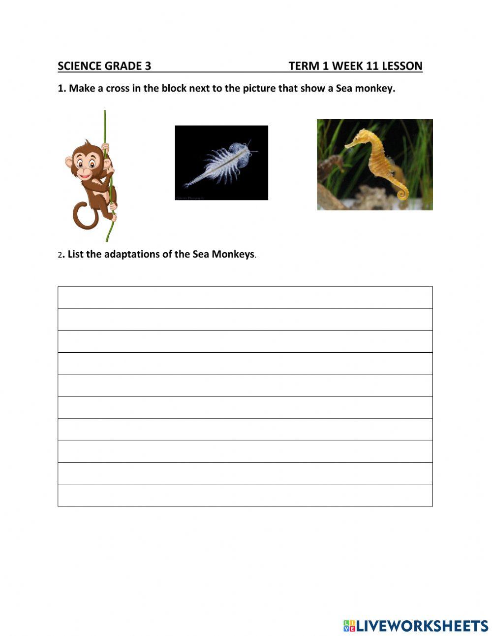 Ocean Habitat 2 worksheet | Live Worksheets
