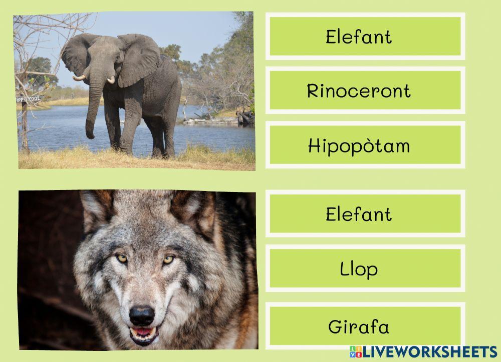 Lectoescritura Animals worksheet | Live Worksheets