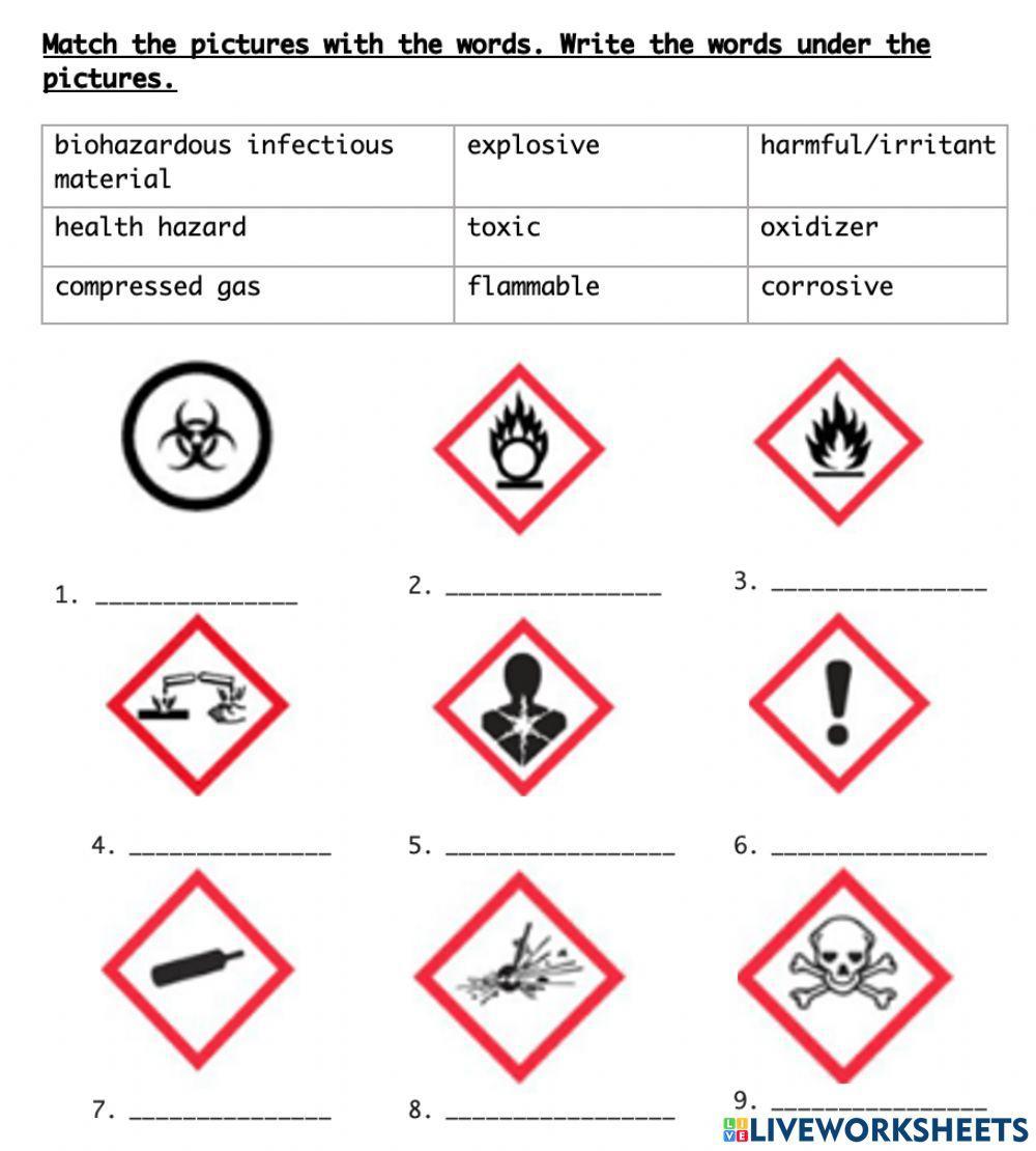Unit 10 Activit… | Free Interactive Worksheets | 1640042