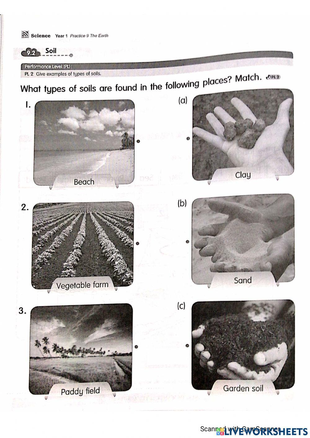 Soil sains exercise | Live Worksheets