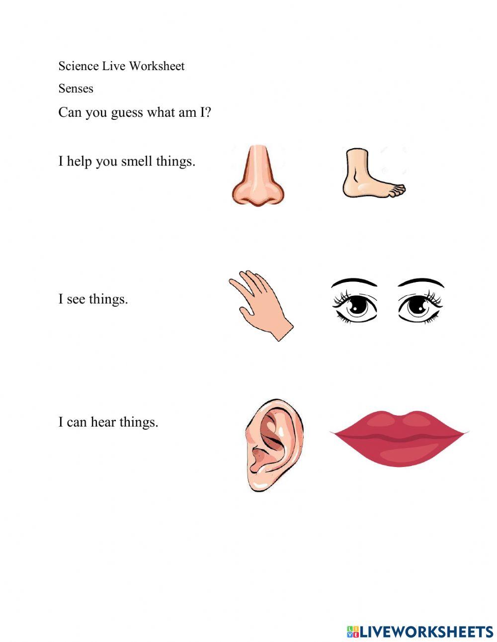 Senses online exercise for | Live Worksheets