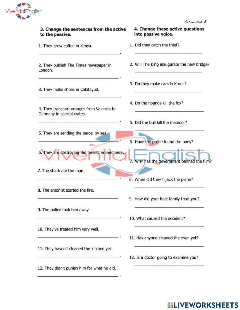 1642766 | Int2-VIVENTIAL PRACTICE | Katherine Rodriguez