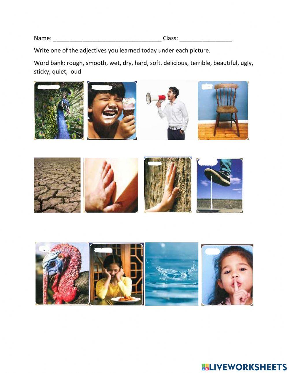 OW3-Unit4-Vocab1 online exercise for | Live Worksheets