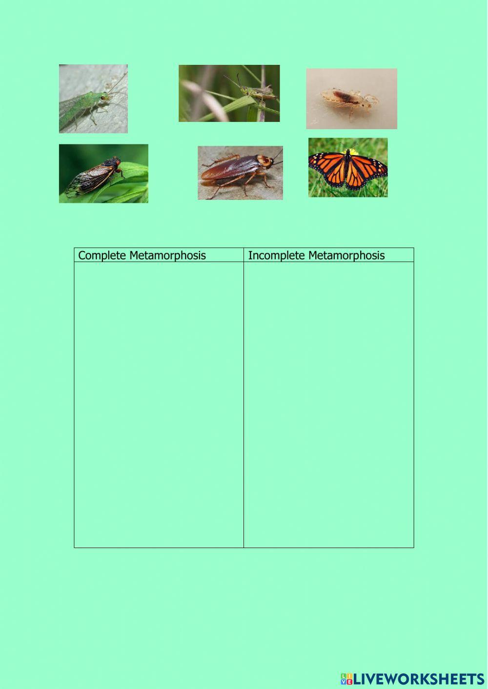Reproduction in… | Free Interactive Worksheets | 1643959