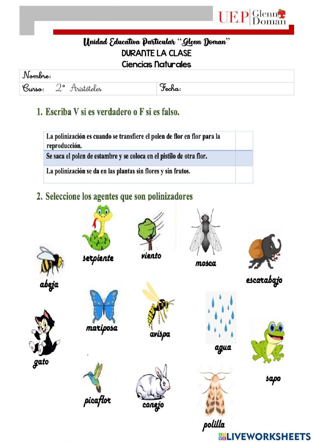 5241589 | La polinizacion | Tia Gloria | LiveWorksheets