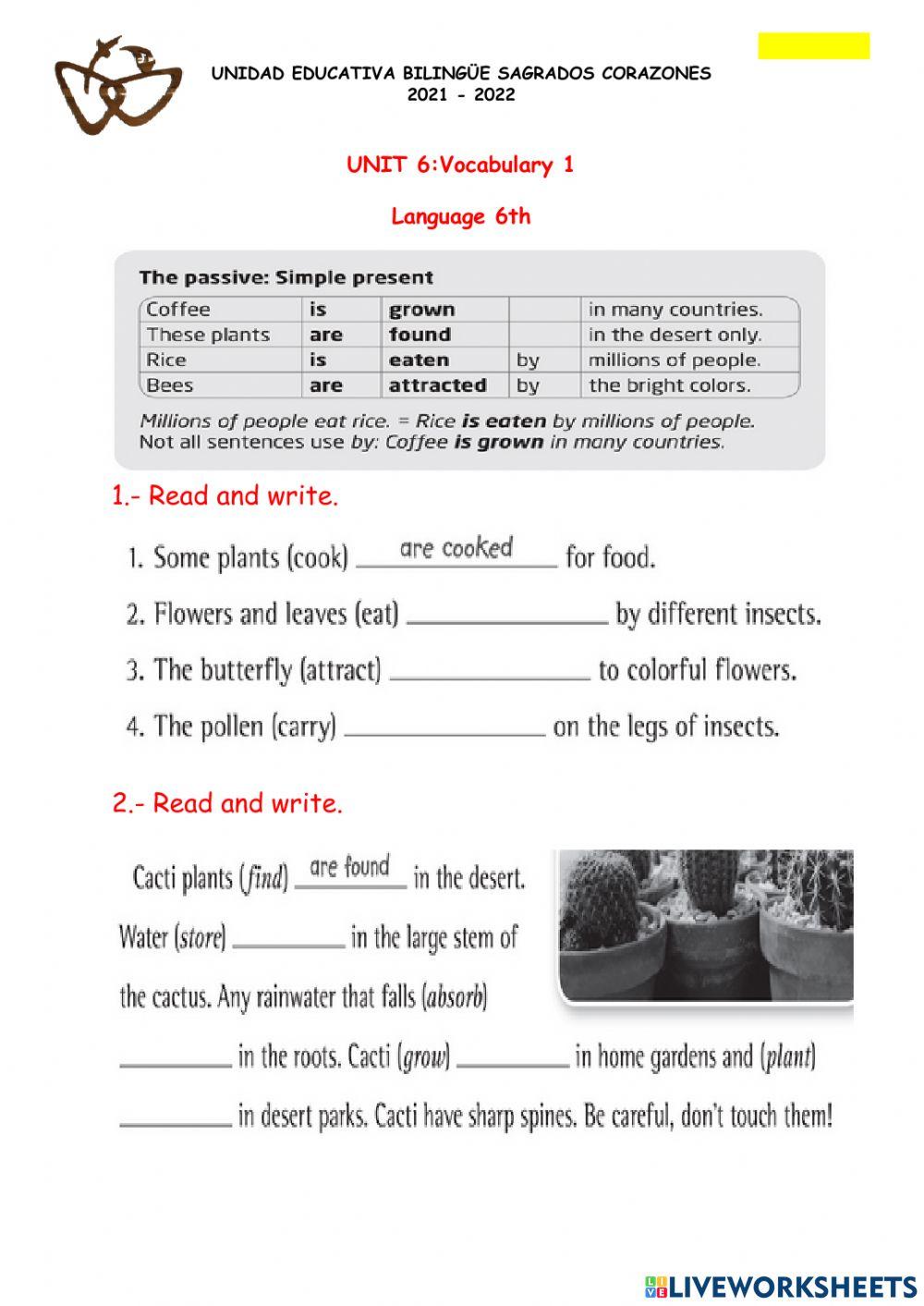 Language 6th Partial 3 Unit 6 worksheet | Live Worksheets