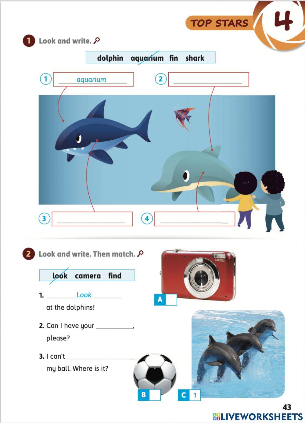 Module 3 Top stars Worksheet worksheet | Live Worksheets