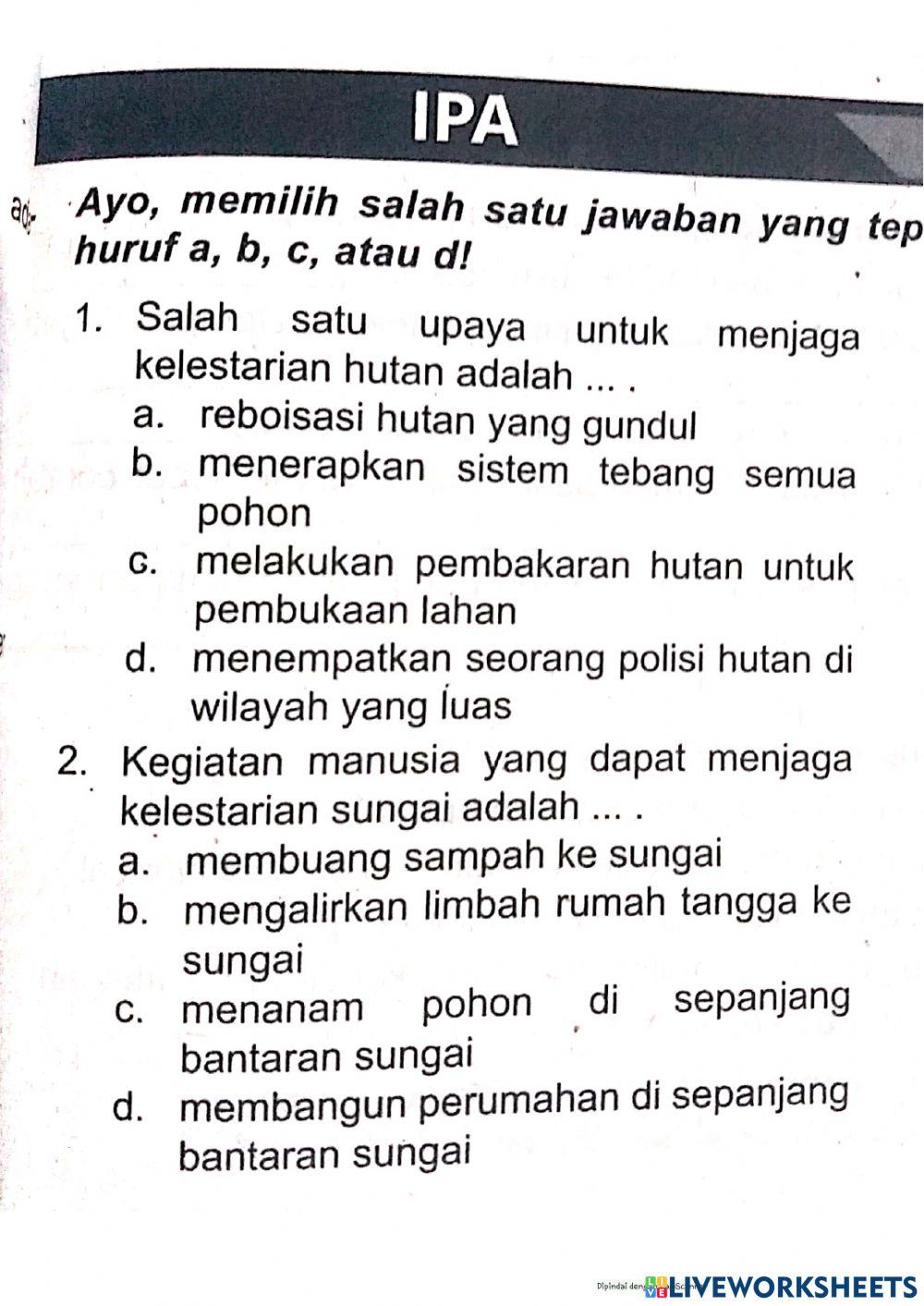 Tema 4 ipa worksheet | Live Worksheets