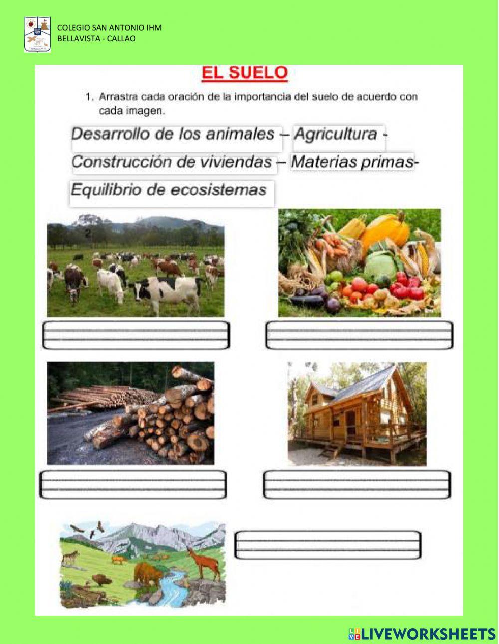 El Suelo 1647280 Karin Moore Live Worksheets