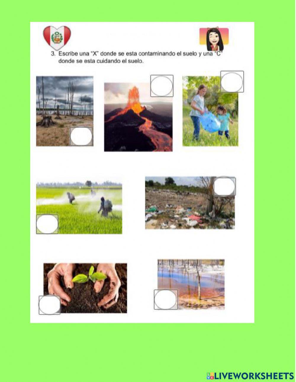 El Suelo 1647280 Karin Moore Live Worksheets