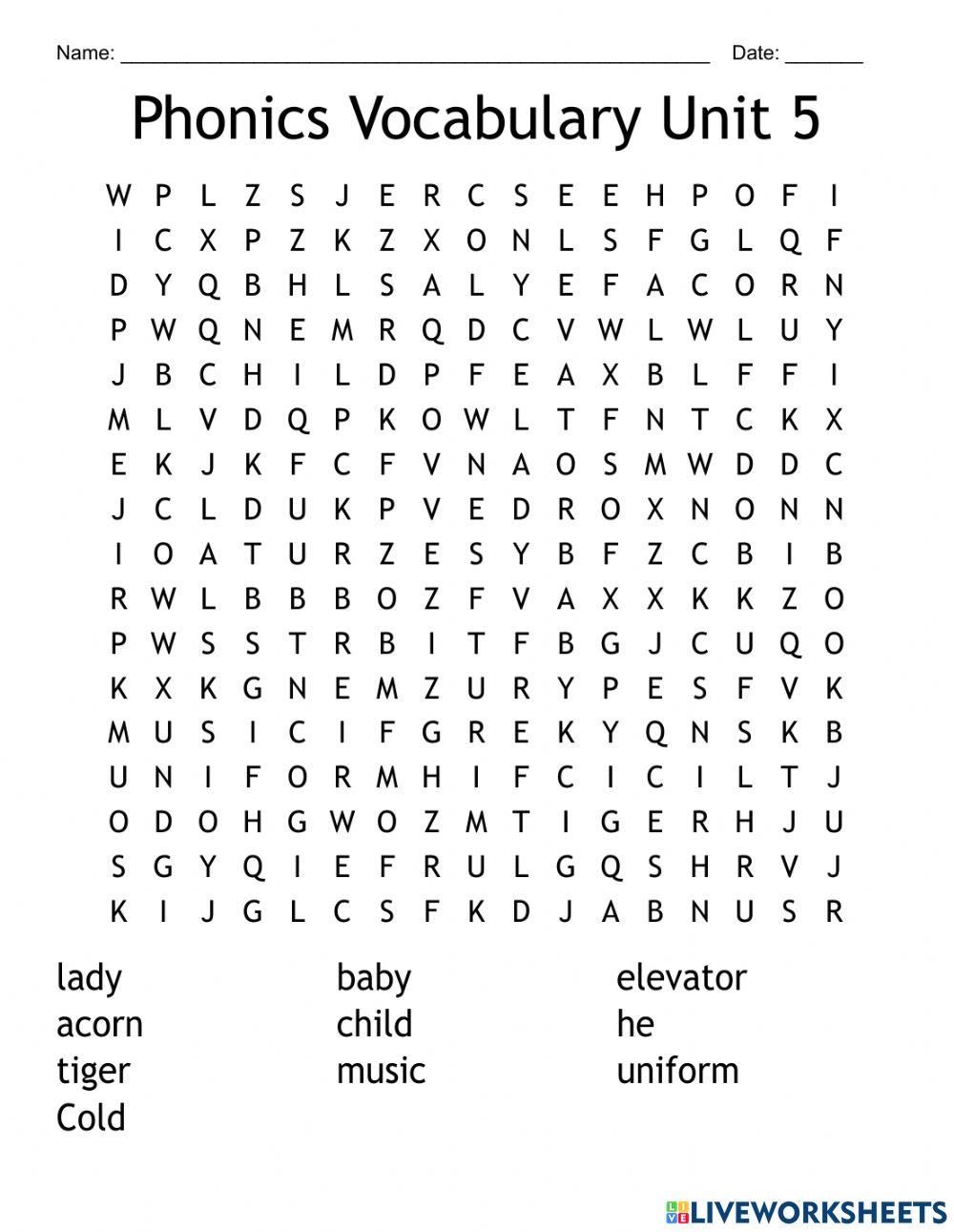 Grade 5 Phonics wordsearch online exercise for | Live Worksheets