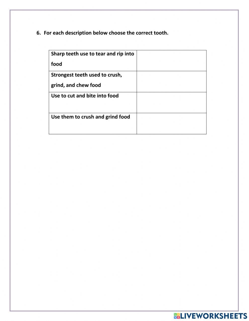 Types of teeth | Free Interactive Worksheets | 5242762