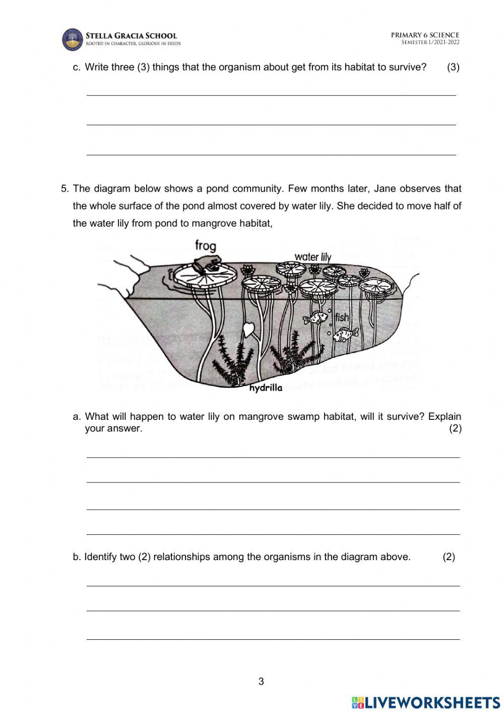 6776934 | P6 Science TT2 interaction unit 2 | Lina_Lim