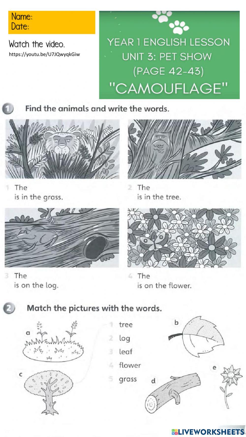 Unit 3 Pet Show interactive activity for Year 1 | Live Worksheets