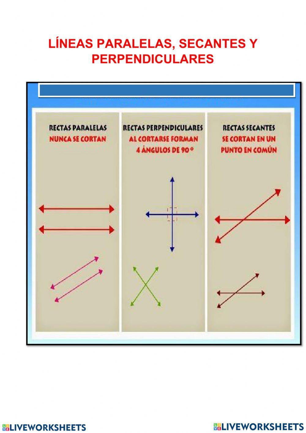 Hoja De Trabajo De Líneas Paralelas Y Perpendiculares, Clave De Respuestas