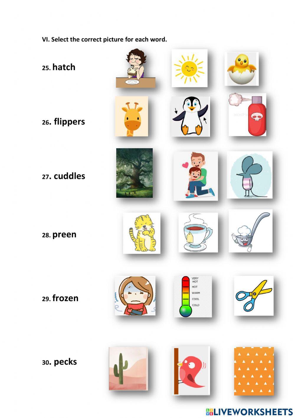 Exam vocabulary online pdf worksheet | Live Worksheets