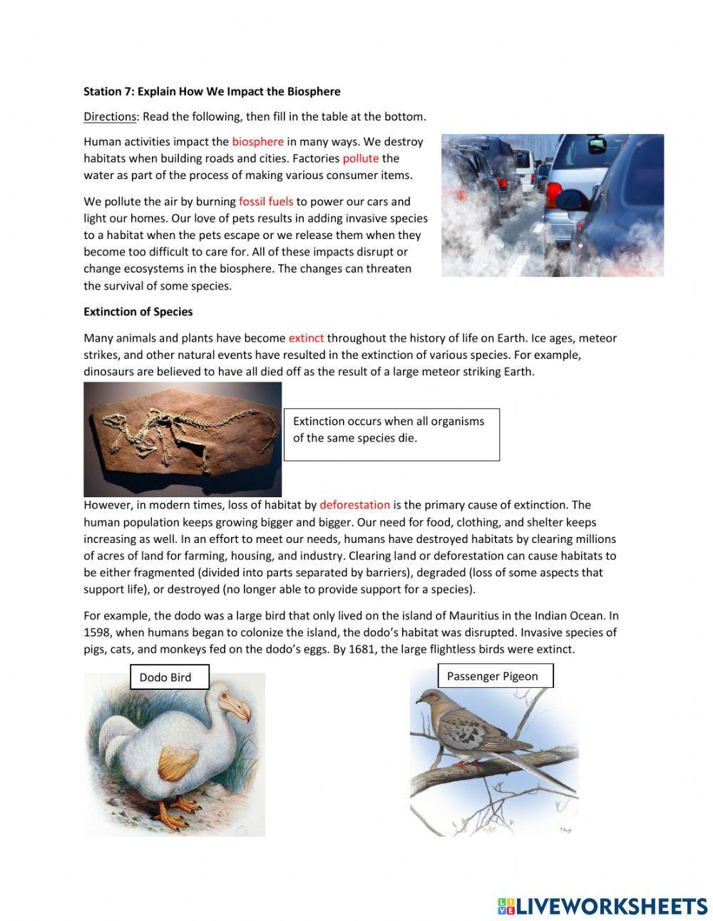 1650783 | Dec 3 Human Impact Station 5-8 | taylorpe