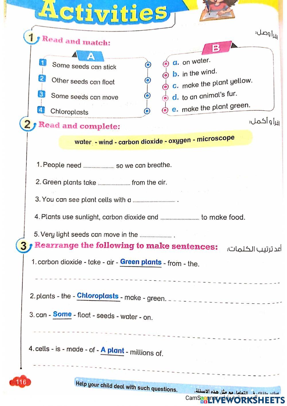 Pg 116 worksheet | Live Worksheets
