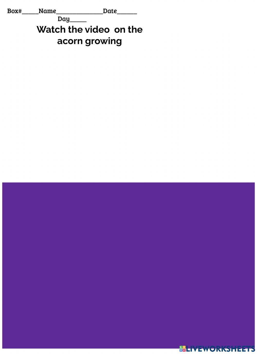 Oak Tree Growth | Free Interactive Worksheets | 1650831