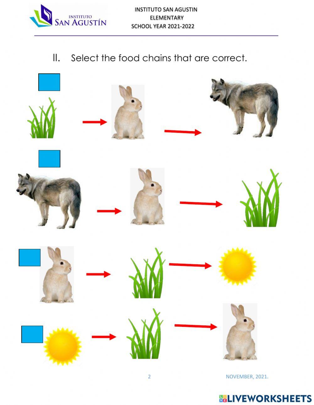 Environments interactive activity | Live Worksheets