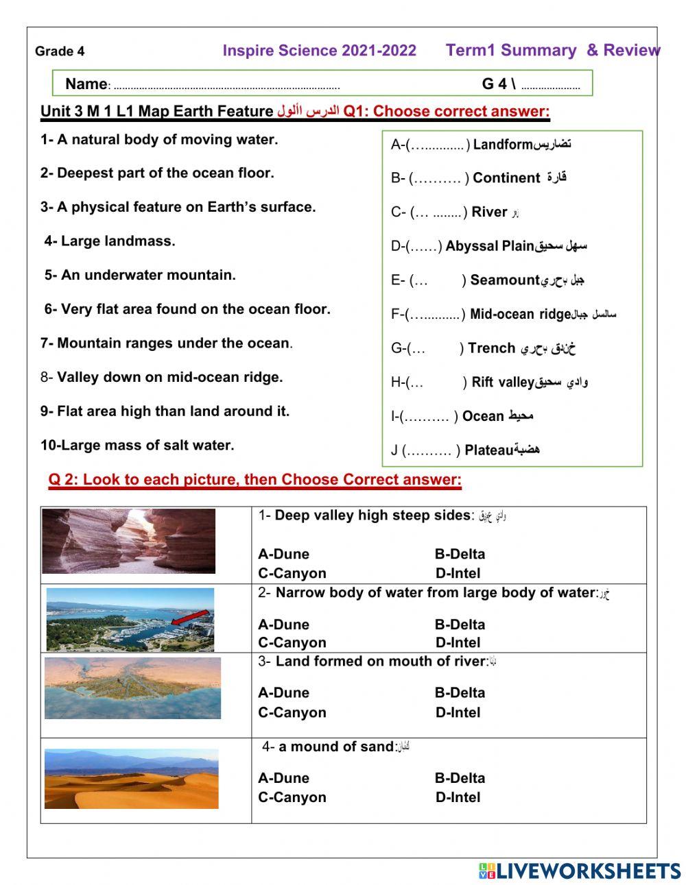 Revision Term 1 worksheet | Live Worksheets