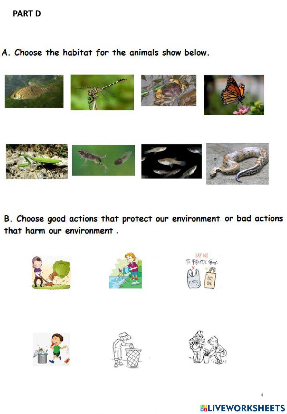 Year End Assessment World Science Year 2 2021 3479551