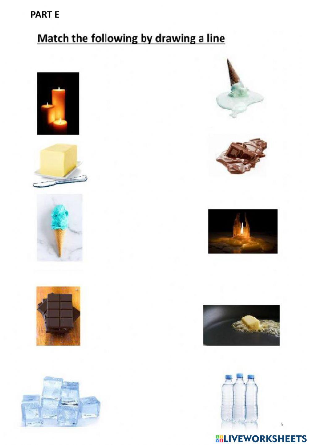 Year End Assessment World Science Year 2 2021 3479551