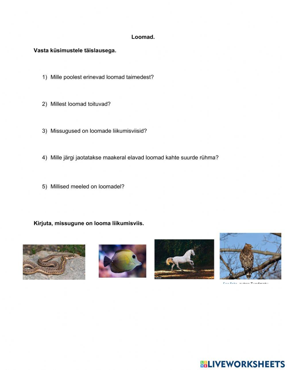 Loomad. online exercise for | Live Worksheets