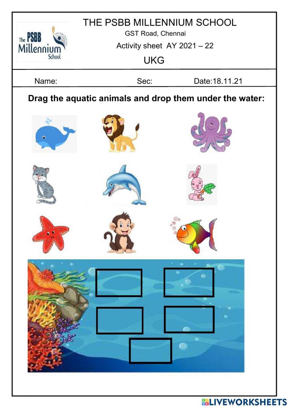 3984713 | Aquatic animals | umaswaminaathan