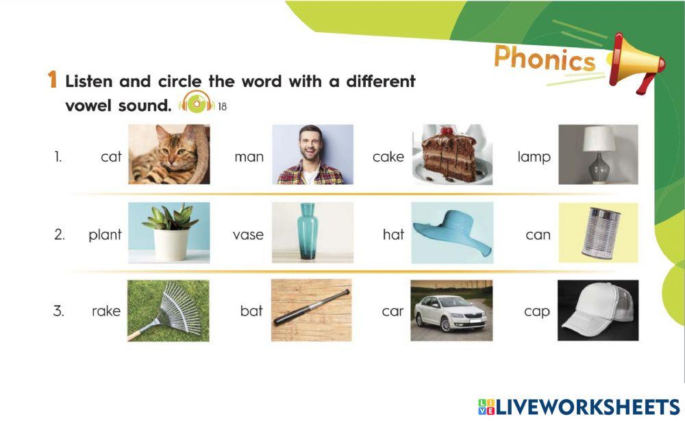 C02S-ACTIVITY1-PAGE27 online exercise for | Live Worksheets