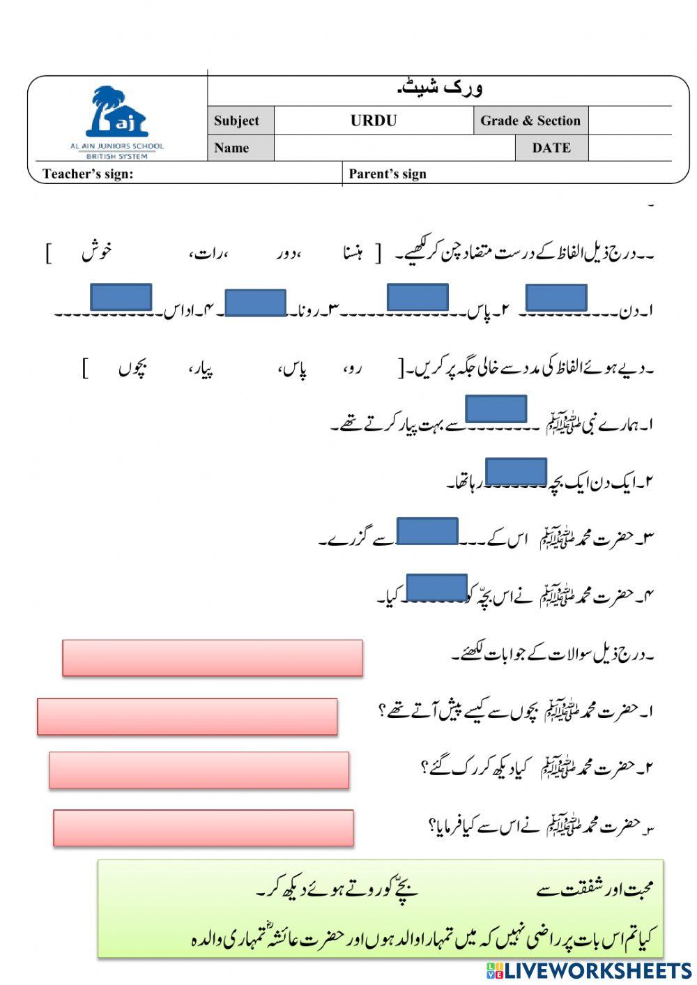hamare Nabi-Taf… | Free Interactive Worksheets | 2594376