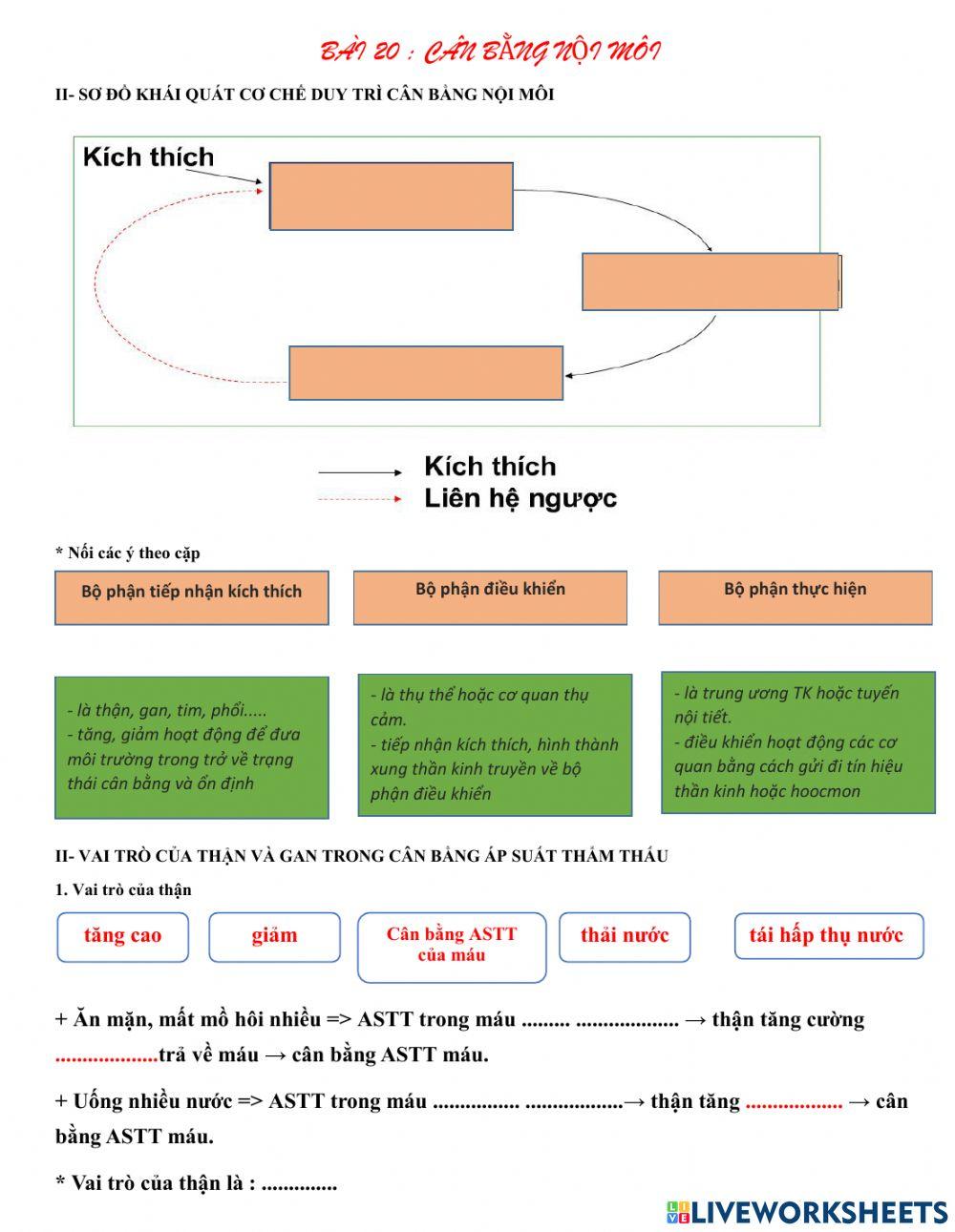 https:--www.liveworksheets.com-lwsmaker-index.asp online exercise for | Live Worksheets