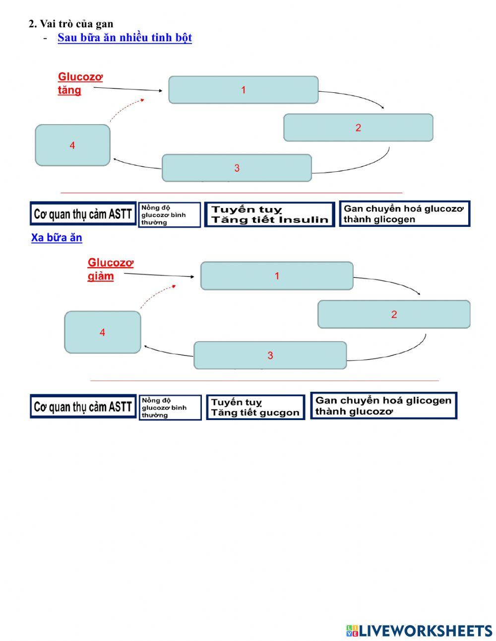 https:--www.liveworksheets.com-lwsmaker-index.asp online exercise for | Live Worksheets