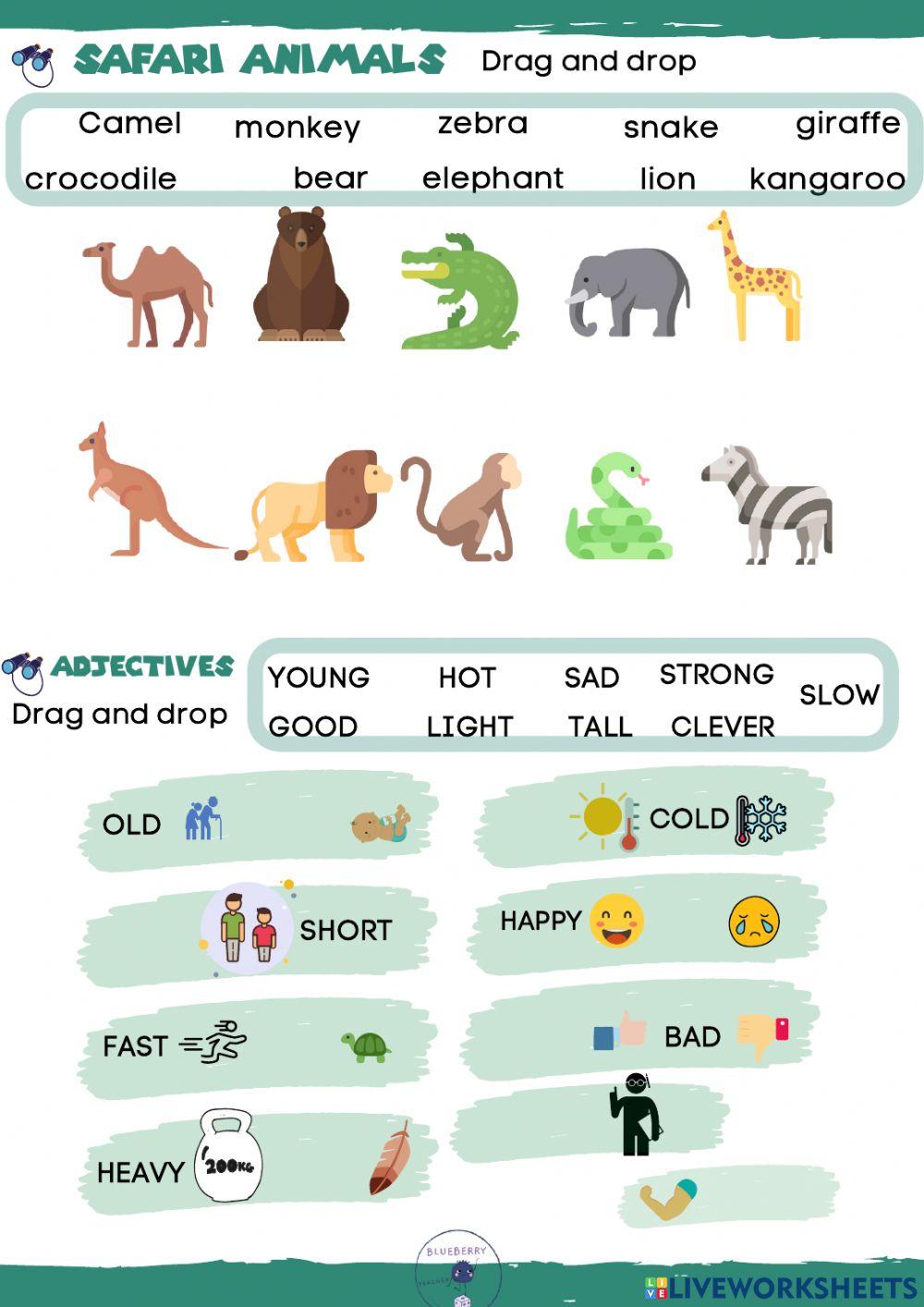 1659432 | Safari animals | blueberryteacher