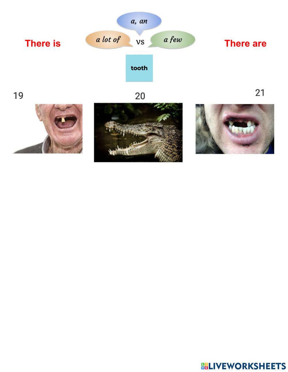 There + Be: Quantity Expressions Practice 1 worksheet | Live Worksheets