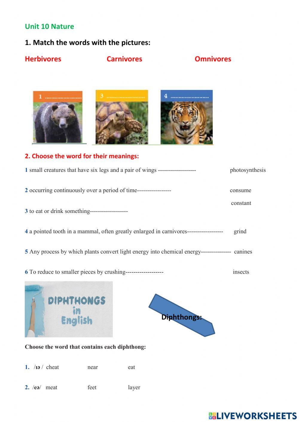 Evaluation interactive activity for 10th | Live Worksheets