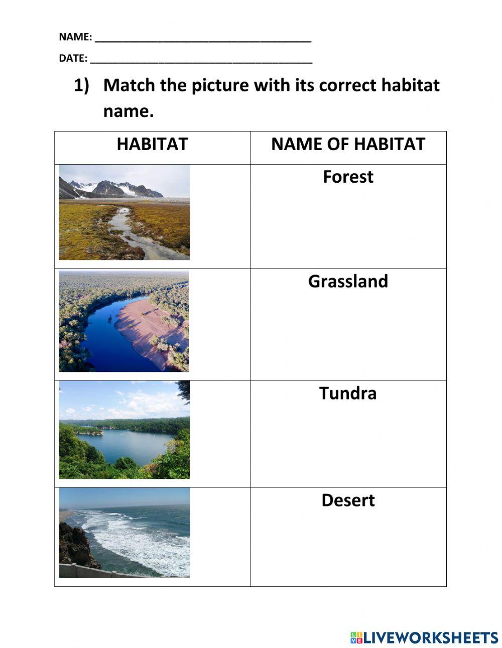 Types of Habita… | Free Interactive Worksheets | 6780280