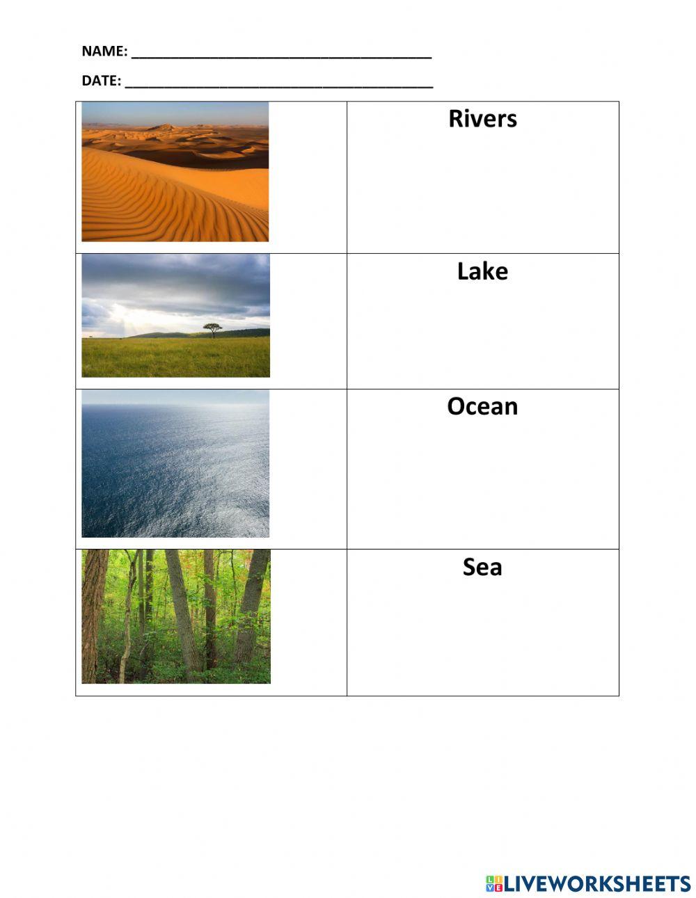 Types of Habita… | Free Interactive Worksheets | 6780280